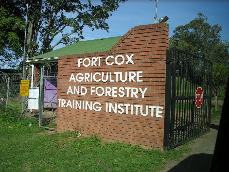 THE FORT COX AGRICULTURE AND FORESTRY TRAINING INSTITUTE IS HIRING FOR IN-SERVICE TRAINING ...